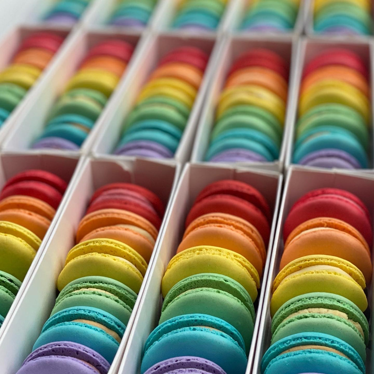 MINI Rainbow Macaron Pack – This Little Cakery